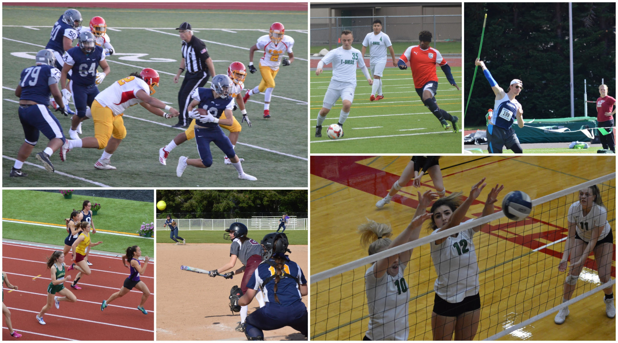 WIAA Athlete of the Week Winners - Eli Sports Network