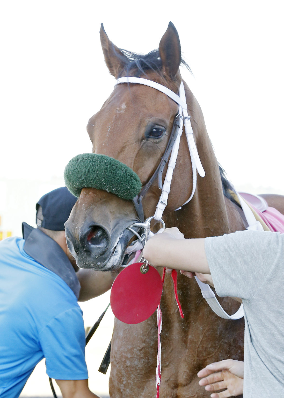 Emerald Downs: Big Crowd, lot's of enthusiasm at Opening Day 2025 ...