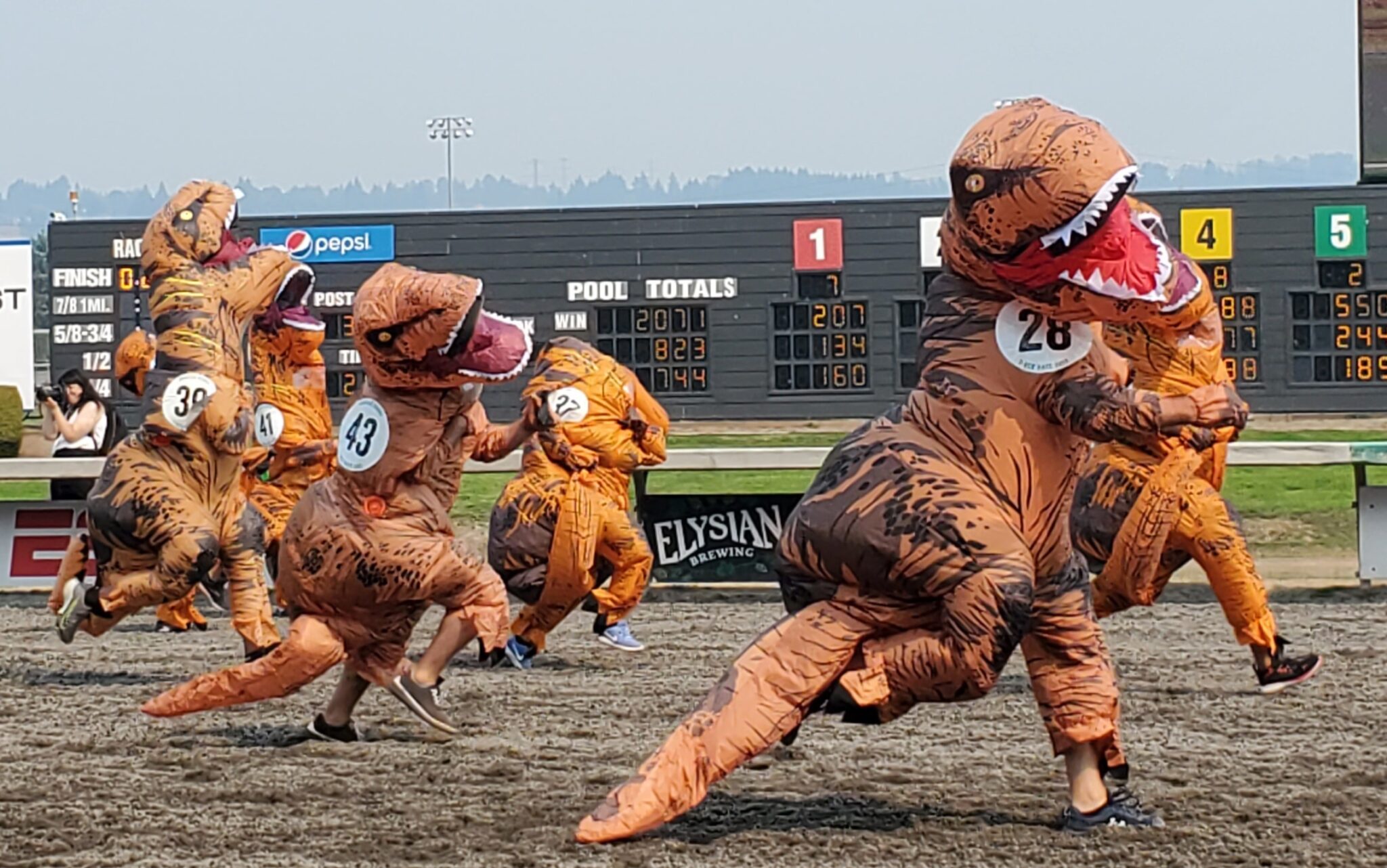 Emerald Downs: 1 Month to Opening Day of the 2024 Season! - Eli Sports ...