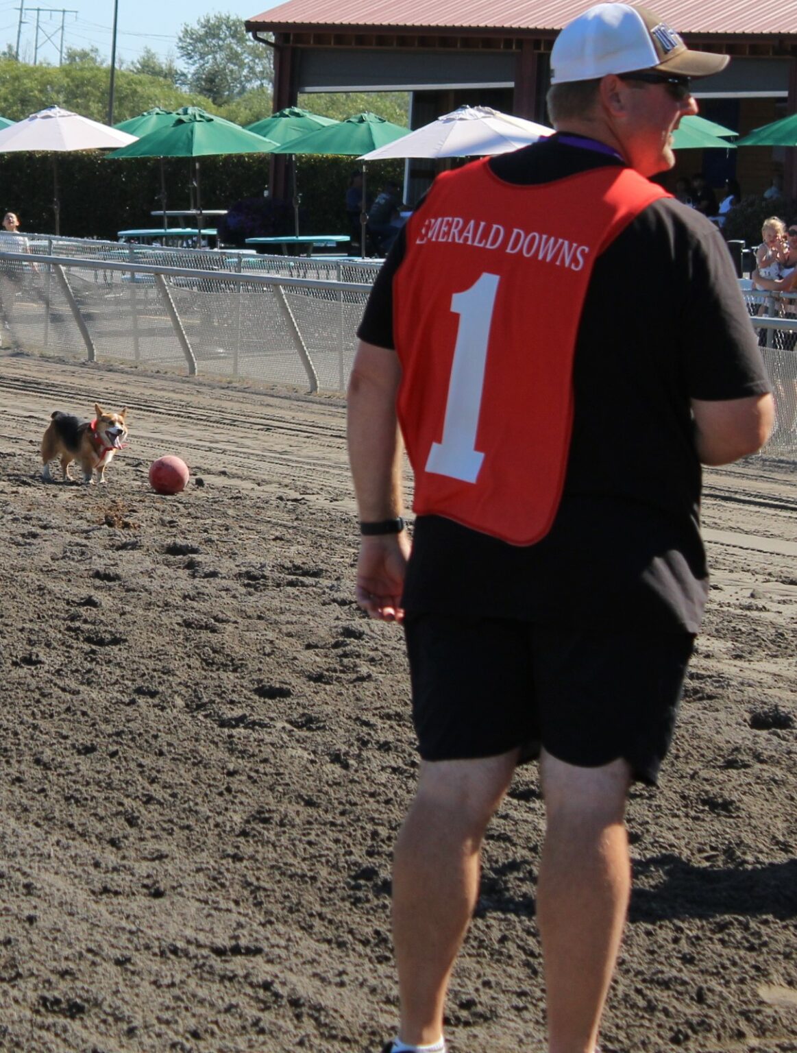 Emerald Downs: Corgi Madness! - Eli Sports Network