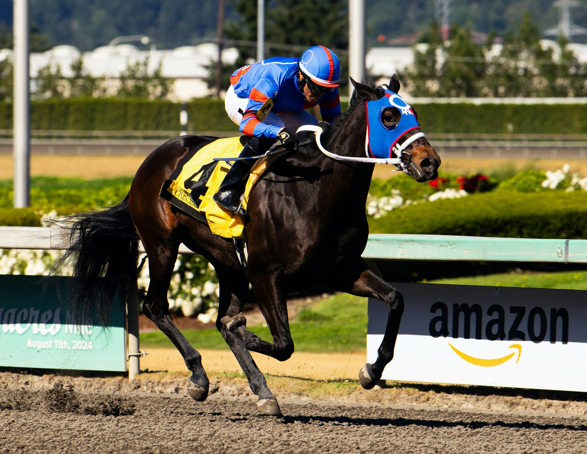 Emerald Downs: Stats thru July 7; All traditional stats and more! - Eli ...