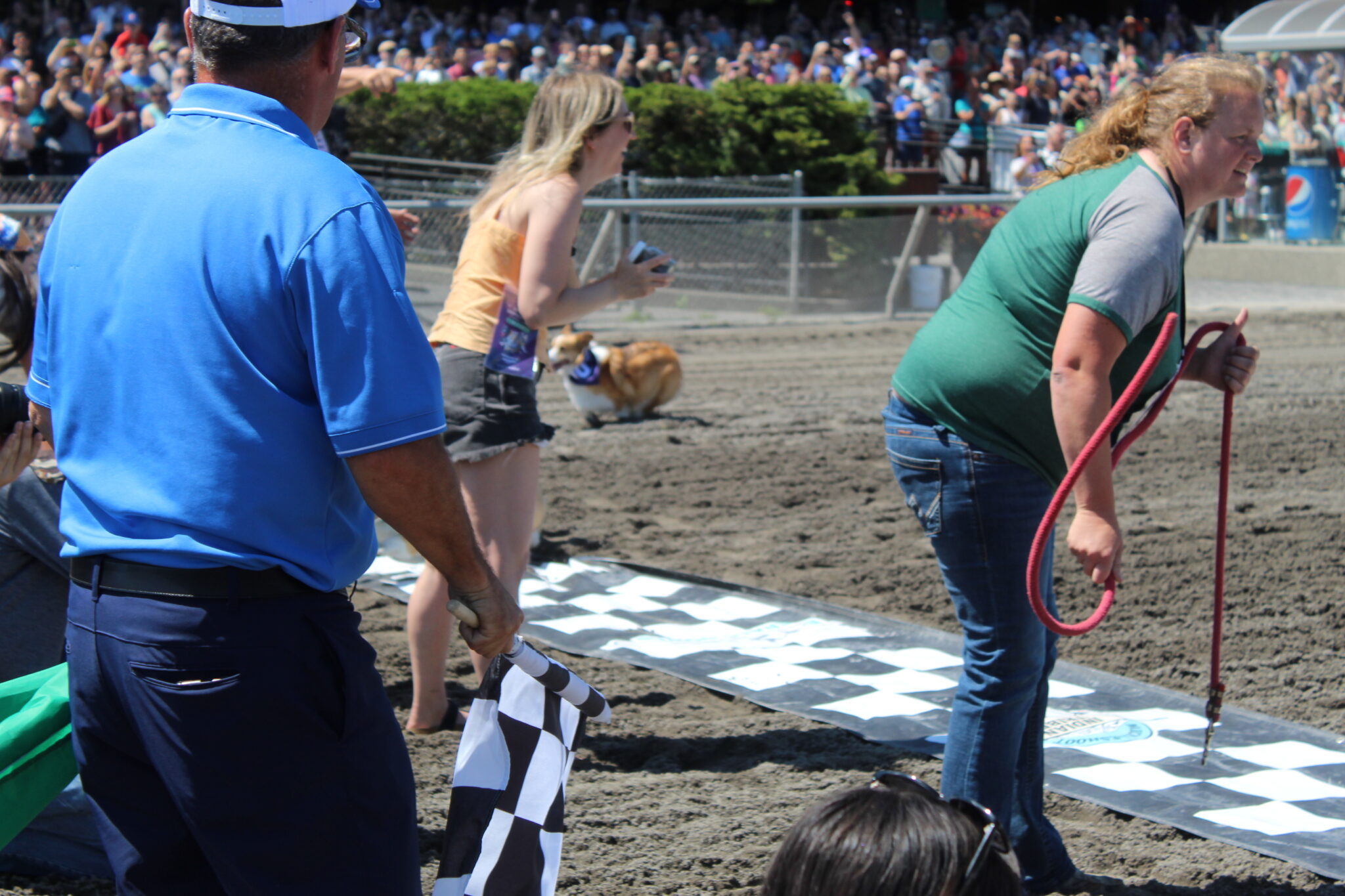 Emerald Downs: Corgi Madness! - Eli Sports Network