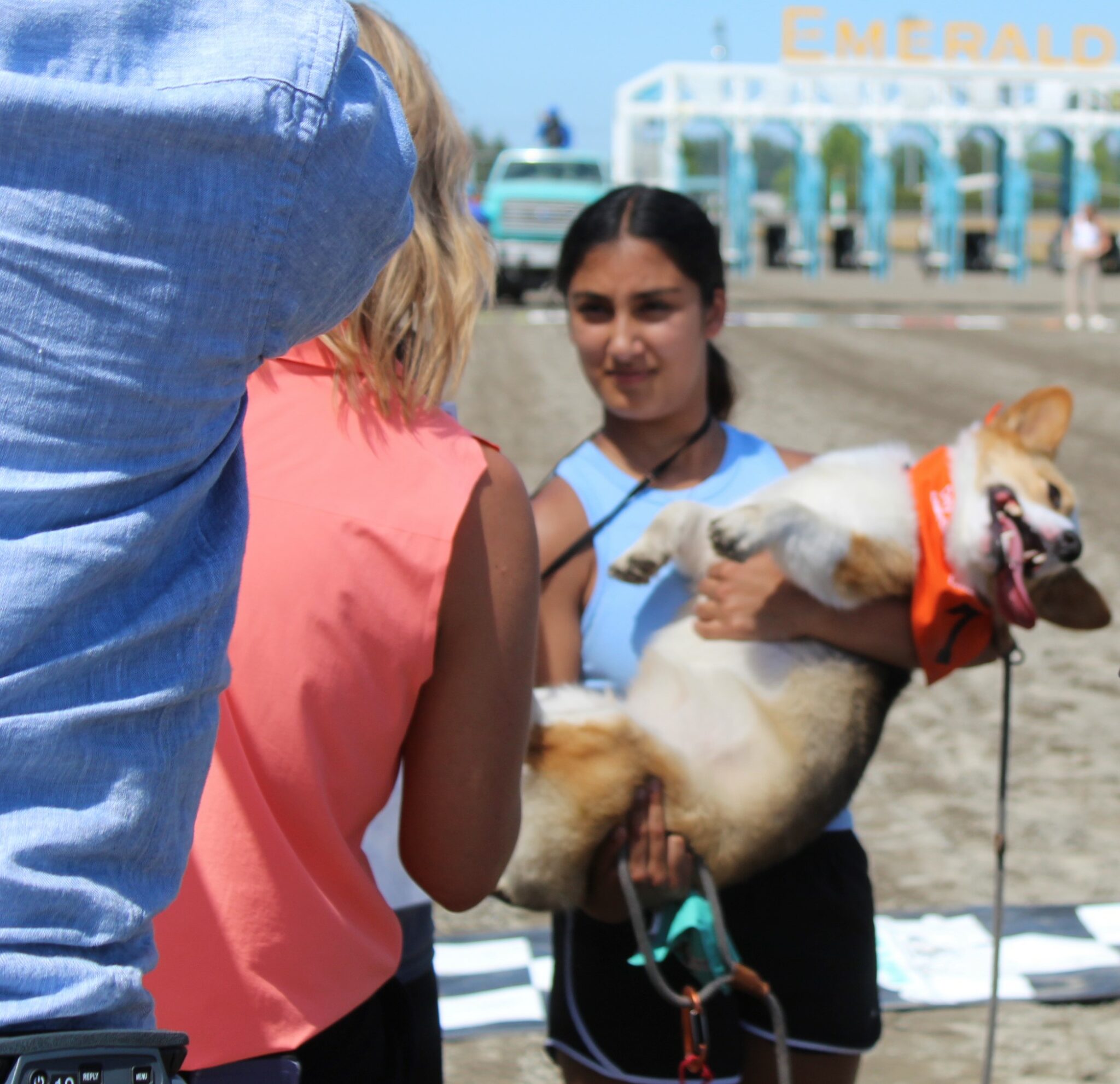 Emerald Downs: Corgi Madness! - Eli Sports Network
