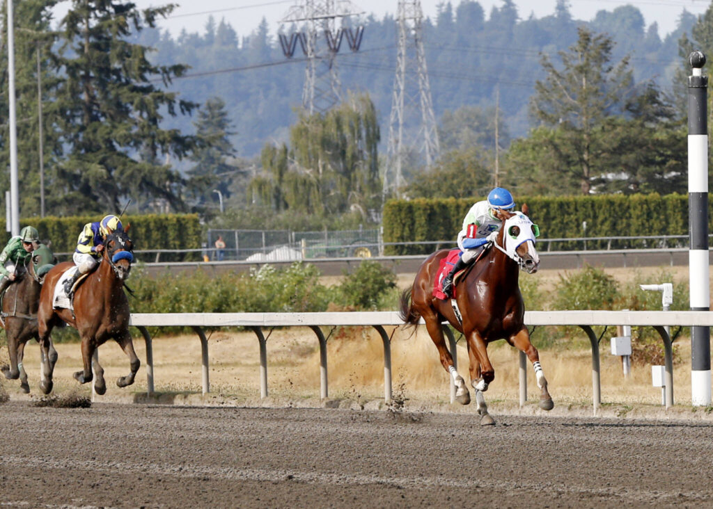 Emerald Downs: Gunnin For Gold with Cruz smash the field in the ...