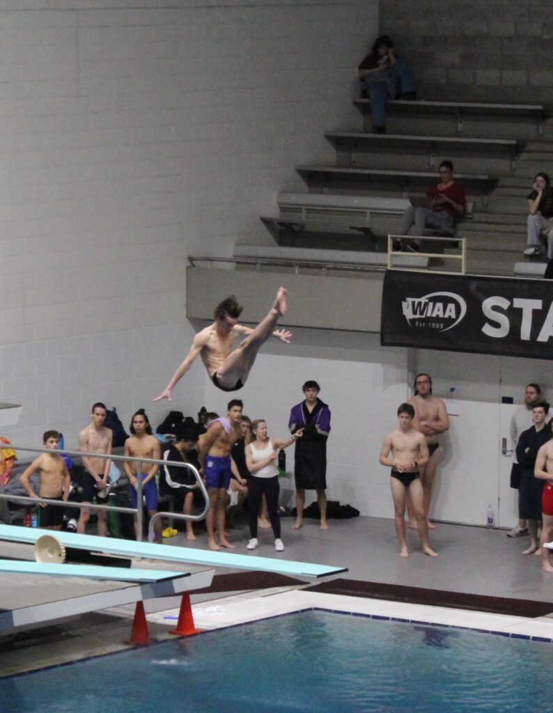 WIAA State Diving Championships; Sehome's Schmidt, M-I's Carson and M-R ...