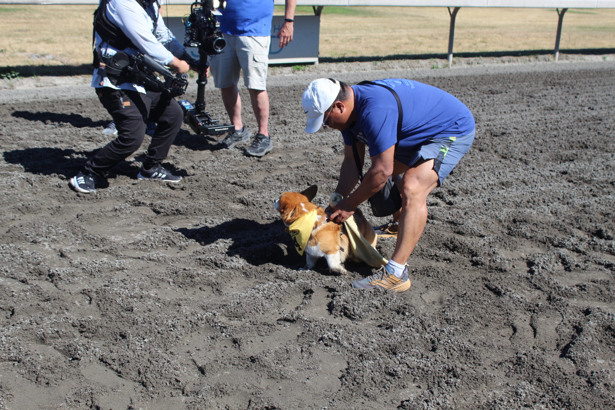Emerald Downs: World Championship Corgi Races 2025 - Eli Sports Network
