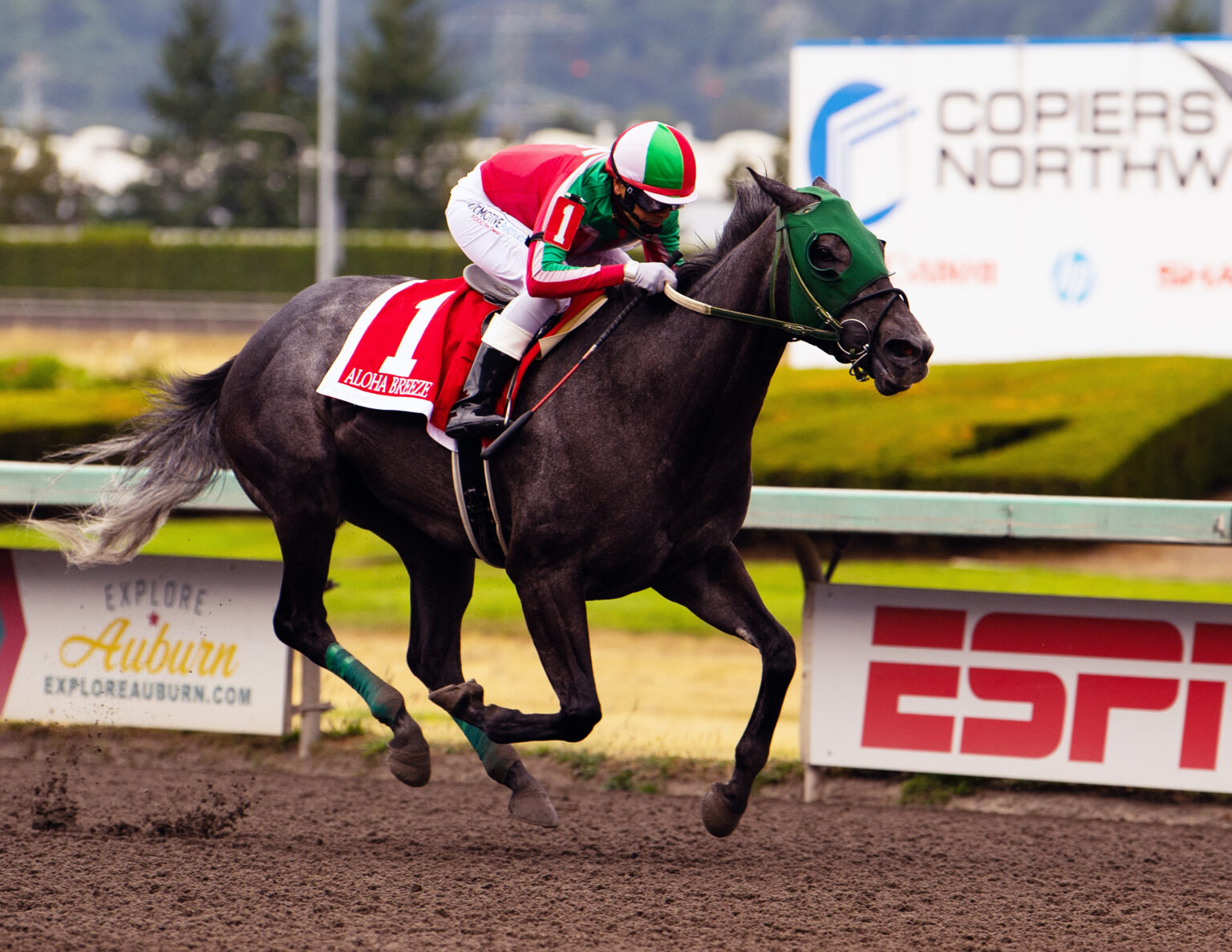 Emerald Downs: Aloha Breeze cruises in Feature & Chuck Potter Memorial ...